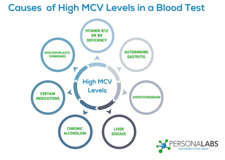What Does It Mean If Your MCV Blood Test Is High? Personalabs