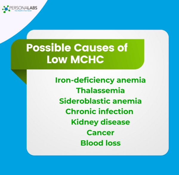 MCHC Blood Test: What High and Low Results Mean?
